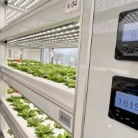 China Shipping Cost and Estimated Delivery Time Container Greenhouses for Leafy Vegetables for sale