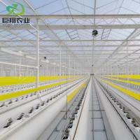China Steel Structure Vertical Farming Container Greenhouse with Multi-Span Hydroponic System for sale
