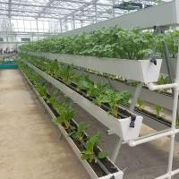 China Highly Multi-Span Vertical Farming Container Greenhouse with Substrate Culture System for sale