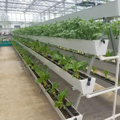 China Highly Multi-Span Vertical Farming Container Greenhouse with Substrate Culture System for sale