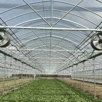 China Multi Span Greenhouse With Advanced Technology 50.00cm * 60.00cm * 50.00cm for sale