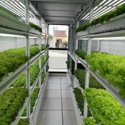 China Hydroponic System Container Farm Suitable for Growing Vegetables Fruits and Flowers for sale