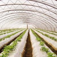 China Plastic Greenhouse Department Multi-Span Po/PE Commercial Greenhouse with Hydroponics for sale