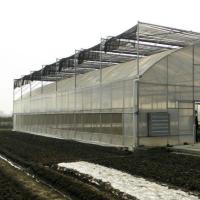 China Plastic Greenhouse Department Multi-Span Po/PE Commercial Greenhouse with Hydroponics for sale
