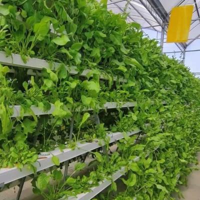 China 2000.000kg Package Gross Weight Commercial Greenhouse for Hydroponics Climate Controlled for sale