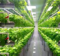 China Multi-Span Humidity Control Film Greenhouse for Vegetables Optimize Vegetable Growth for sale