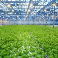 China Temporary Heating Hydroponic Film Greenhouse with Humidity Control System JX-FG-212 for sale