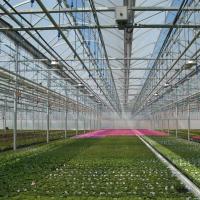 China 0.15/0.20mm Po/PE Film Covered Multi Span Greenhouse Temporary Heating for sale