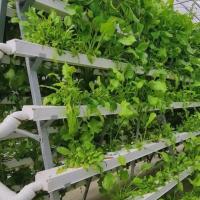 China 0.15/0.20mm Po/PE Film Covered Multi Span Greenhouse Temporary Heating for sale