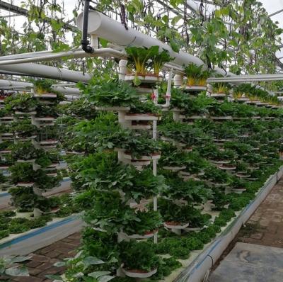 China Po/PE Film Hydroponic Greenhouse For Vegetables Double Layer for sale