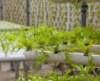 China Po/PE Film Hydroponic Greenhouse For Vegetables Double Layer for sale