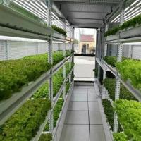 China Container Farming of Strawberries Made Simple with Multi-Span Agricultural Greenhouses for sale