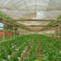 China Double Layer Commercial Film Greenhouse System for Humidity Management in Greenhouses for sale