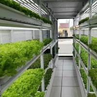 China 20FT Sea Shipping Container Farm Hydroponic Fodder Container for Vegetable Fruits Flowers for sale