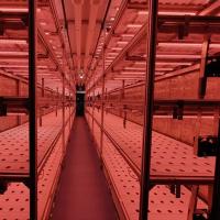 China 20FT Sea Shipping Container Farm Hydroponic Fodder Container for Vegetable Fruits Flowers for sale