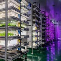 China 20FT Sea Shipping Container Farm Hydroponic Fodder Container for Vegetable Fruits Flowers for sale