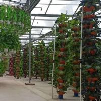 China Suitable Seedling Cultivation Budget-Friendly Film Greenhouse with Plastic Sheet Cover for sale