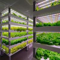 China Multi-Span Agricultural Greenhouses Barley Breeding Room for Vegetable Fruits Flowers for sale