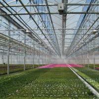 China Soilless Culture Film Greenhouse Design for Vegetables and Temporary Heating Method for sale