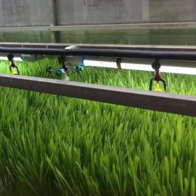 China Indoor Hydroponics Commercial Microgreen Growing System with JX-Container-Greenhouse for sale