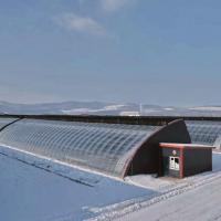 China Arched Roof Aquaculture Vegetable Film Sunlight Greenhouse for US Strawberry Flower for sale