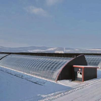 China Arched Roof Aquaculture Vegetable Film Sunlight Greenhouse for US Strawberry Flower for sale