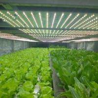 China Lighting System for Container Greenhouses Package Gross Weight 2000.000kg Currency US for sale
