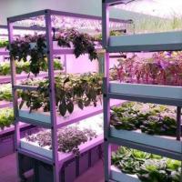 China Lighting System for Container Greenhouses Package Gross Weight 2000.000kg Currency US for sale