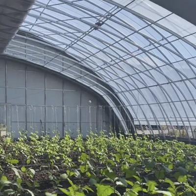 China Customizable Vegetable Film Hydroponics Greenhouse System for Multi-Span Efficiency for sale