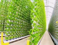 China Steel Structure Hydroponic Container Greenhouse Juxiang 40hq for Building Materials for sale