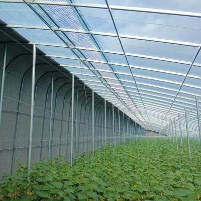 China Arched Roof Aquaponics Greenhouse for Sunlight Sparay Irrigation and Flower Planting for sale