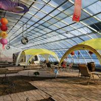 China Arched Roof Aquaponics Greenhouse for Sunlight Sparay Irrigation and Flower Planting for sale
