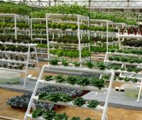 China Shaped Roof Shipping Container Greenhouse with Hydroponic System within Your Budget for sale