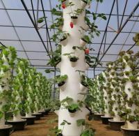 China Shaped Roof Shipping Container Greenhouse with Hydroponic System within Your Budget for sale