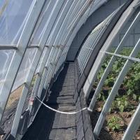 China Experience the Benefits of the Flower Sunlight Greenhouse US Currency for sale