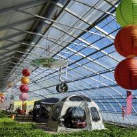 China Arched Roof Greenhouse for Sunlight Aquaculture Flower Planting Vegetable Production for sale