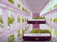 China Juxiang Leafy Vegetable Greenhouse Department jx-cg-0003 Shipping Container Greenhouse for sale