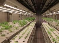 China Juxiang Leafy Vegetable Greenhouse Department jx-cg-0003 Shipping Container Greenhouse for sale