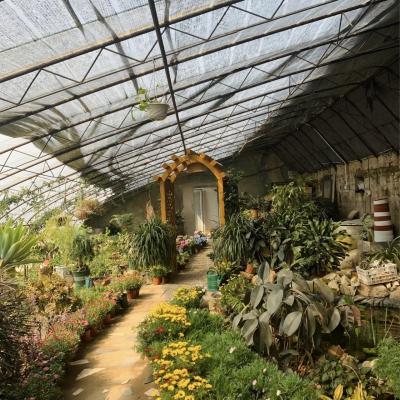 China Package Gross Weight 100.000kg Hydroponic Strawberry Flower Greenhouse with Film Cover for sale