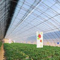 China Package Gross Weight 100.000kg Hydroponic Strawberry Flower Greenhouse with Film Cover for sale