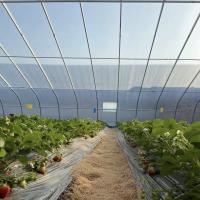 China Commercial Aquaponics Greenhouse for Sunlight Sparay Irrigation Vegetable Production for sale