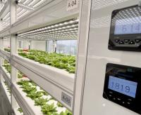China Department Option Leafy Vegetable Container House with Customization and Roofing Sheet for sale