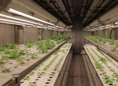 China Intelligent Temperature Control Juxiang Leafy Vegetable Container House Heating Method for sale