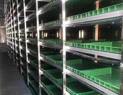 China Portable Leafy Vegetable Shipping Container Made of Steel for Building Materials for sale