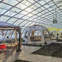 China Plastic Sheet Flower Sunlight Greenhouse Drip Irrigation for Consistent Irrigation for sale