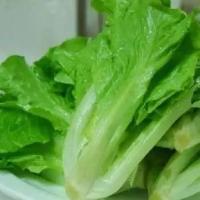 China Multi-Span Container Greenhouse JX-CG-12 for Leafy Vegetables within Your Budget for sale