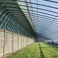 China Vegetable Film Flower Planting Greenhouse with Drip Irrigation and Plastic Sheet Cover for sale