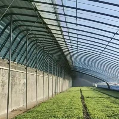 China Vegetable Film Flower Planting Greenhouse with Drip Irrigation and Plastic Sheet Cover for sale