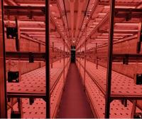 China Return refunds 30-Day Guarantee for Shipping Container Leafy Vegetable Greenhouse for sale
