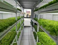 China Container Farming Lighting System with Estimated Delivery Time and Low Shipping Cost for sale